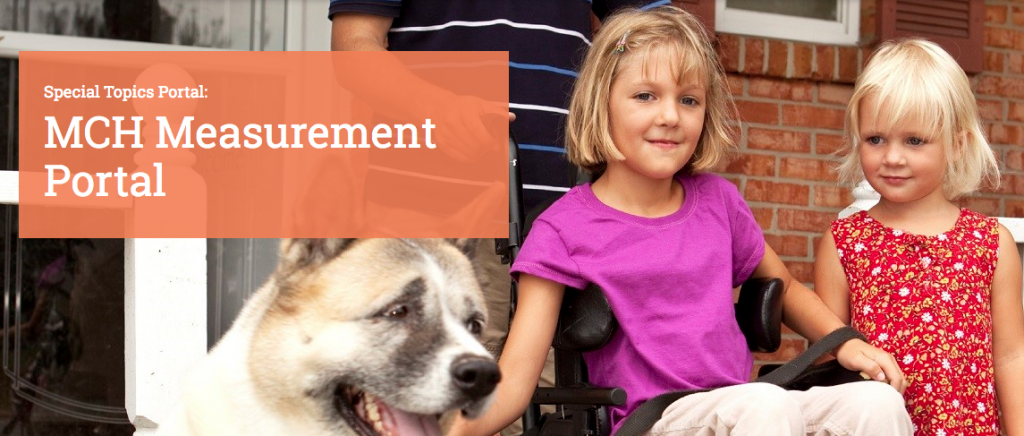 Resource: MCH Measurement Portal | Leadership Education in Maternal ...